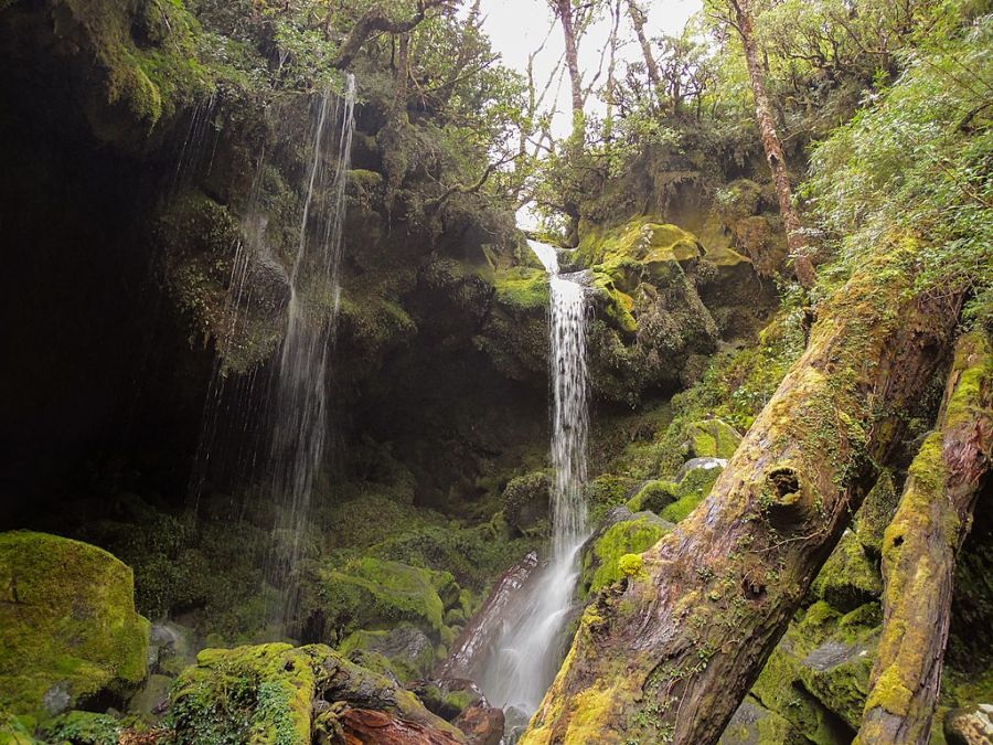 Parque Nacional Hornopiren, Guia de Parques Nacionais em CHILE