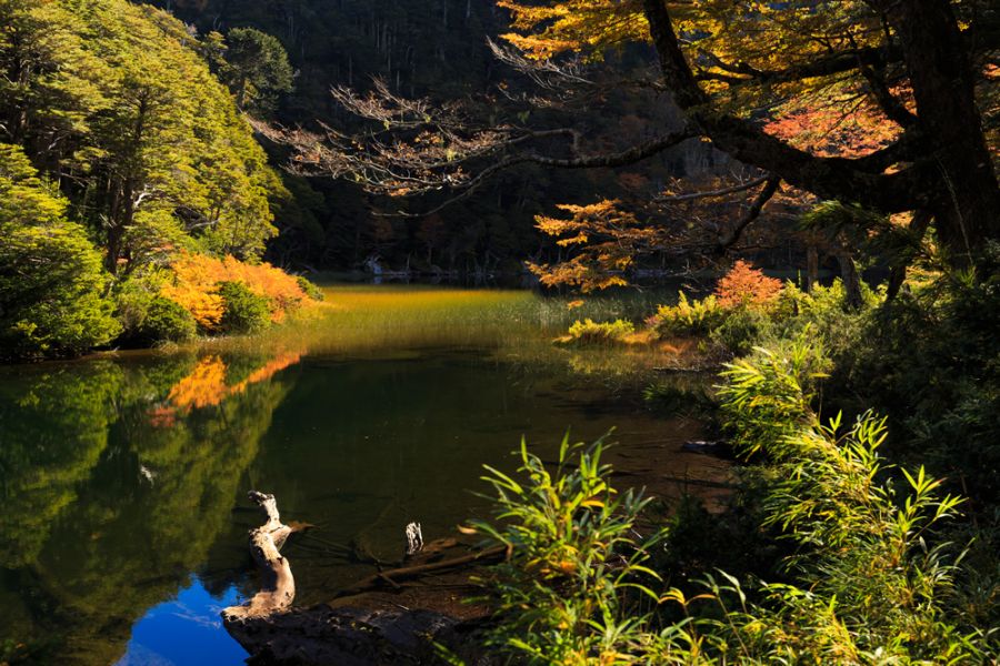 Parque Nacional Huerquehue, Guia de Parques Nacionais do Chile, Guia de ...